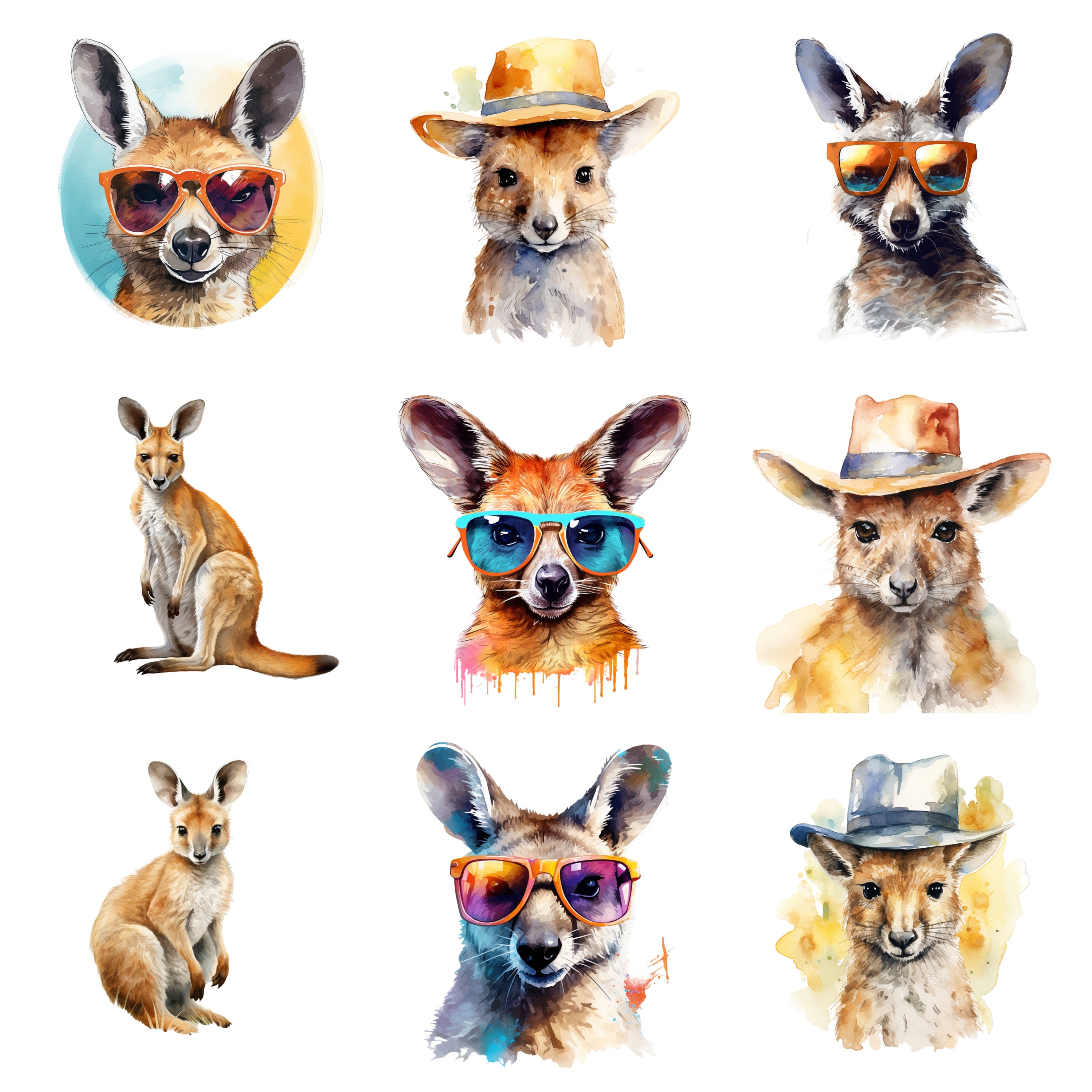 Watercolor Wallabies Clipart, PNG Digital Files on a Transparent ...
