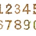 Bamboo Numbers, Bamboo Numbers Png , Instant Download for Commercial ...