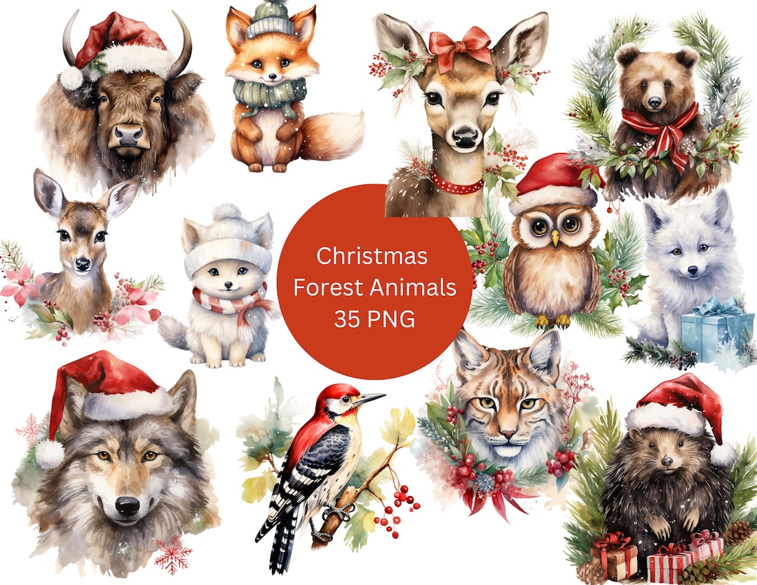 Watercolor Christmas Forest Animals Clipart, PNG Digital Files on ...
