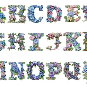Hydrangea Alphabet Watercolor Clipart, Floral Clipart, PNG Digital ...