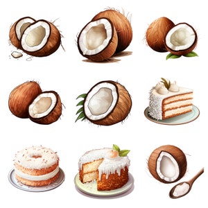 Coconut Clipart, PNG Digital Files on Transparent Background ...