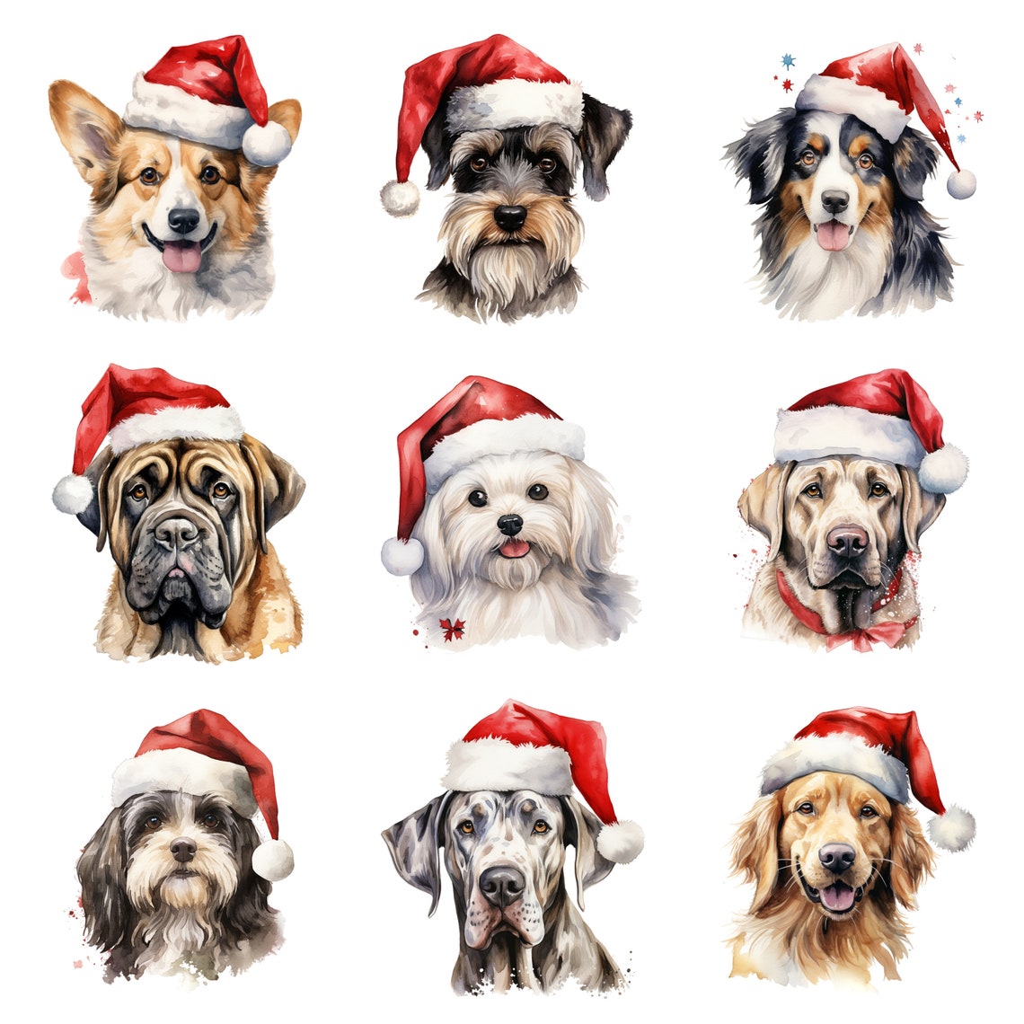 Watercolor Santa Dogs Clipart, Christmas PNG Digital Files on ...