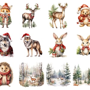 Woodland Christmas Clipart, Winter PNG, Forest Christmas Animals ...