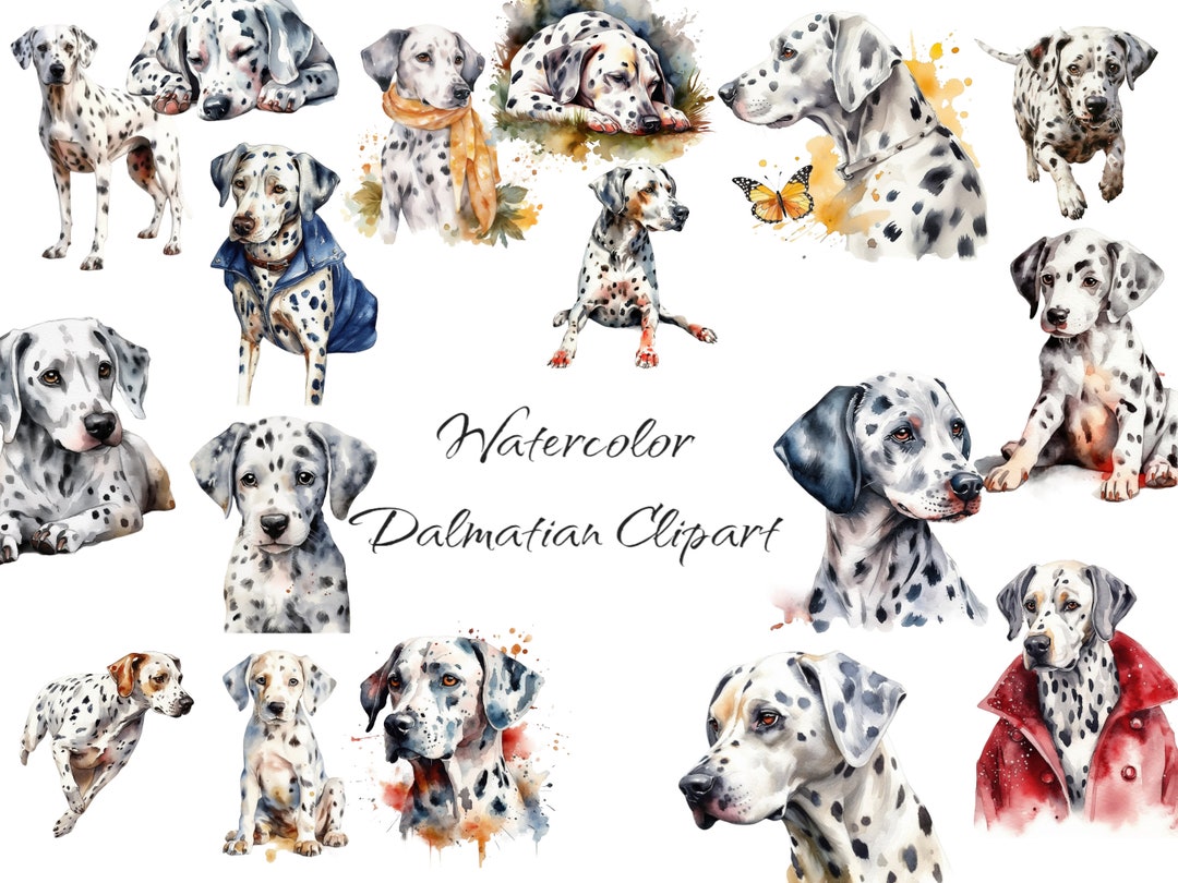 Watercolor Dalmatians Clipart, PNG Digital Files on Transparent ...