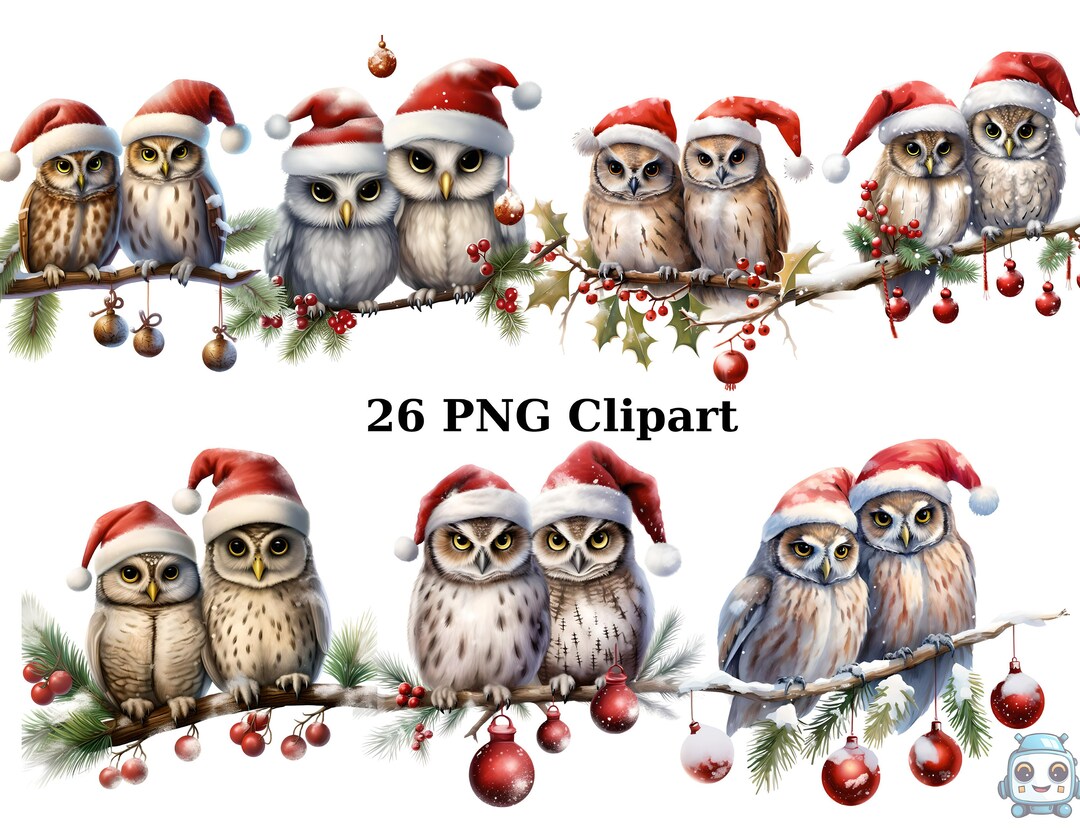 26 Santa Owls Clipart, Christmas Clipart, PNG Individual Images on ...