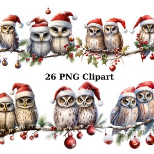 26 Santa Owls Clipart, Christmas Clipart, PNG Individual Images on ...