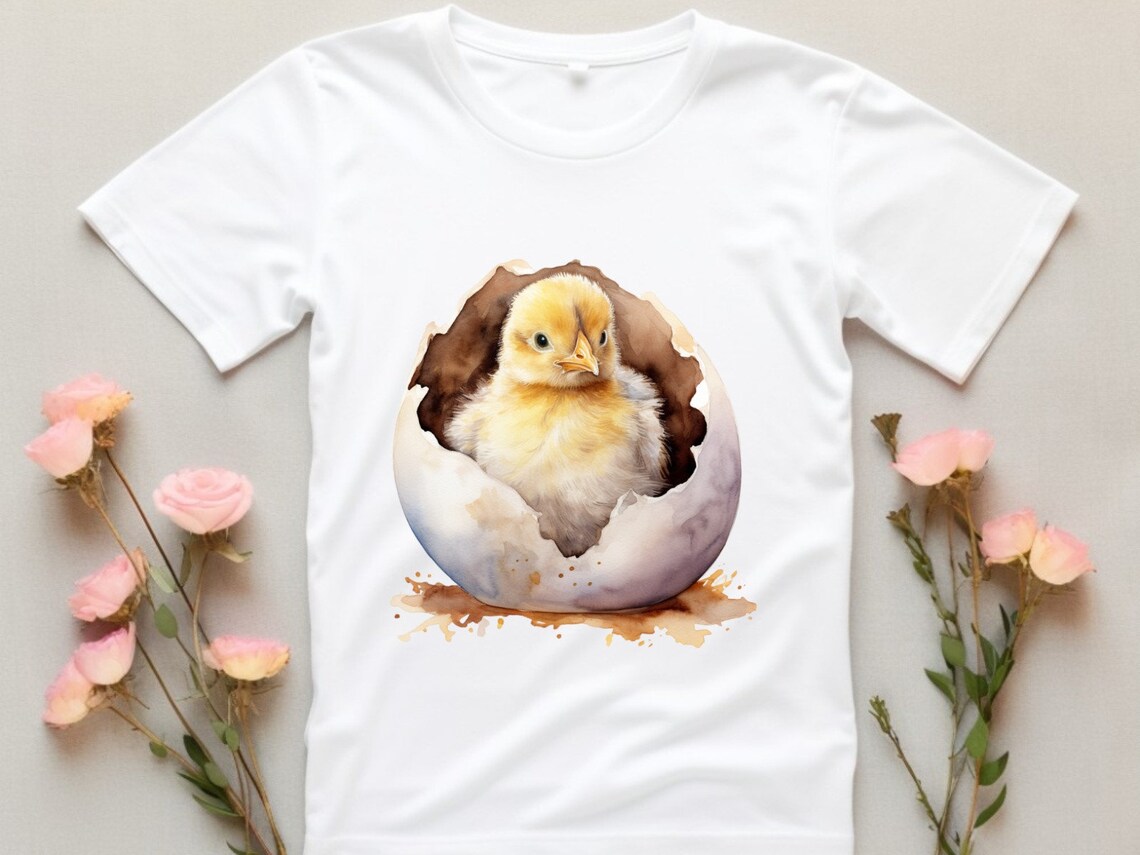 20 Baby Chick Hatching Watercolor Clipart, Bird Clipart, PNG Digital ...