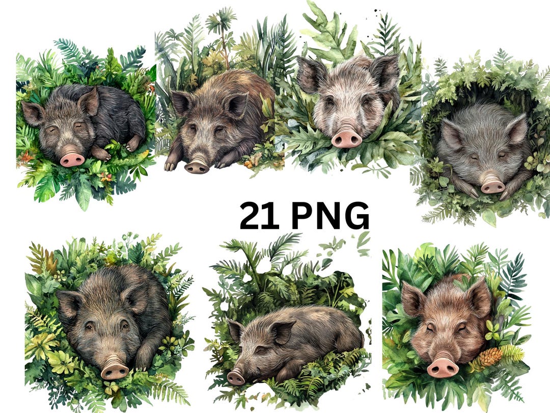 Wild Boar Forest Nest Clipart Collection - 21 PNG Illustrations of ...