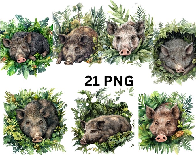 Wild Boar Watercolor Clipart | Printable Animal Designs (digital ...