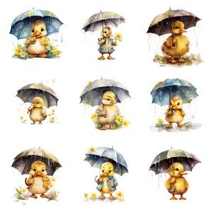 17 Baby Ducks in Rain Watercolor Clipart, Cute Ducklings, PNG Digital ...