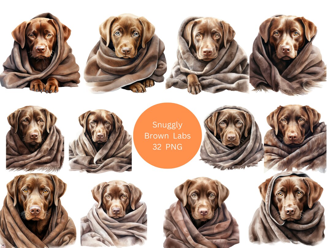 32 Snuggly Brown Labs Watercolor Clipart, Pets Clipart, PNG Individual ...