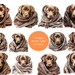 32 Snuggly Brown Labs Watercolor Clipart, Pets Clipart, PNG Individual ...