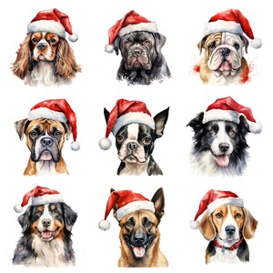 Watercolor Santa Dogs Clipart, Christmas PNG Digital Files on ...