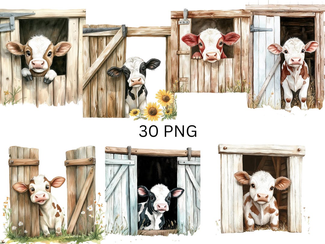 Farm Cow Clipart Set - 30 Cute Calf in Barn Illustrations PNG - Rustic ...