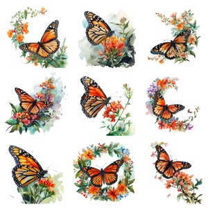 Watercolor Monarch Butterfly Clipart, PNG Digital Files on Transparent ...