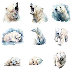 Watercolor Polar Bears Clipart, PNG Digital Files on Transparent ...