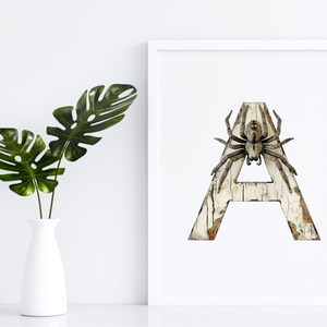 Spider Alphabet, Letters Png, Alphabet Png, Instant Download for ...