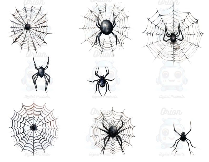 Watercolor Spiders on Webs Clipart, PNG Digital Files on Transparent ...