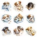26 Puppies With Milk Bottle Watercolor Clipart, Animals Clipart, PNG ...