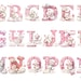 Pink Baby Cat Alphabet Clipart, PNG Individual Images on Transparent ...