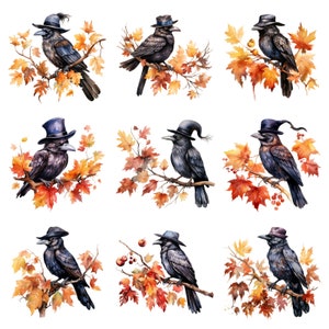 33 Crow With Hats Watercolor Clipart, Fall Clipart, PNG Digital Files ...