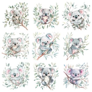 23 Cute Koalas Watercolor Clipart, Animals Clipart, PNG Individual ...