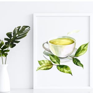 13 Green Tea Watercolor Clipart, PNG Digital Files on Transparent ...