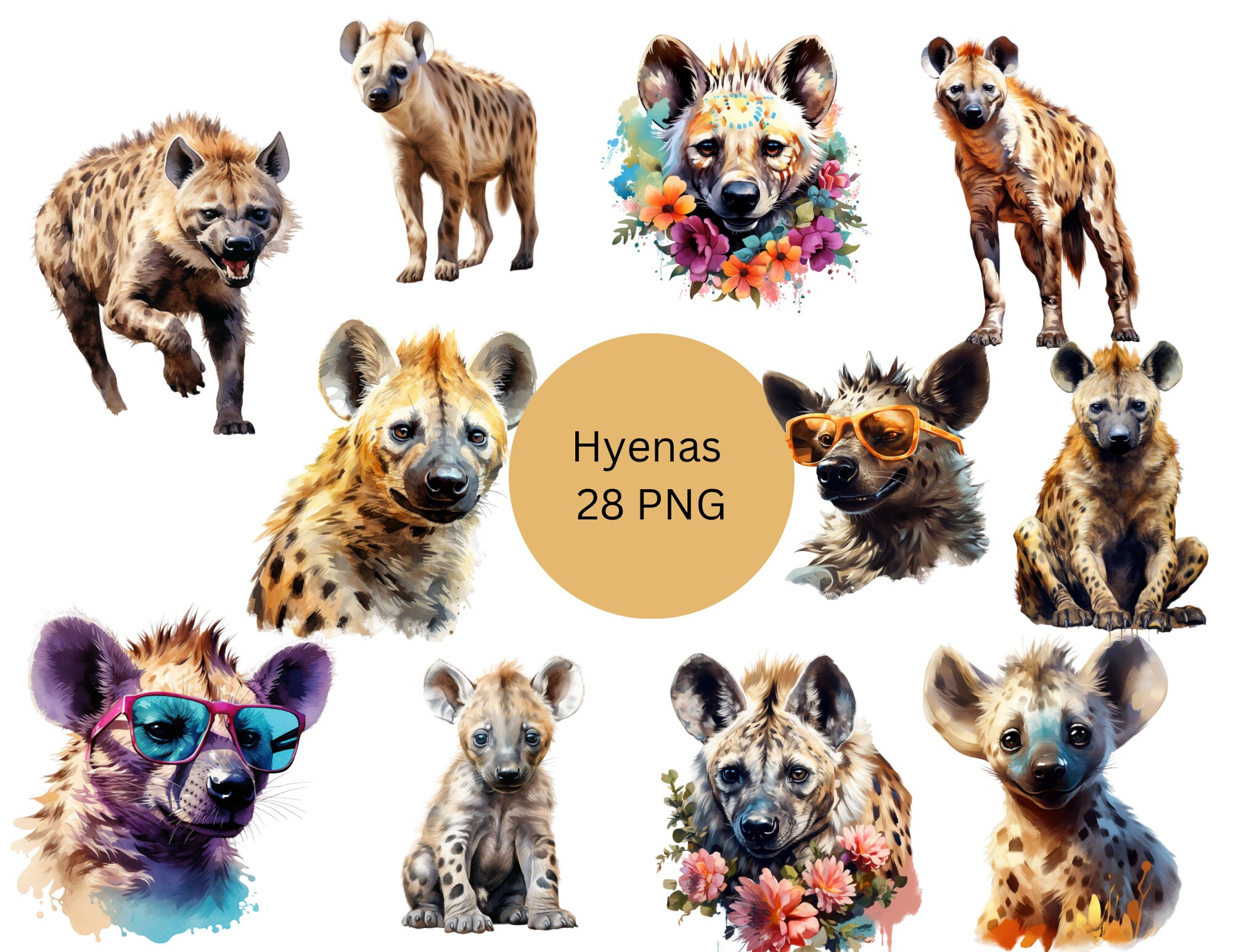 Watercolor Hyenas Clipart PNG Digital Files on Transparent - Etsy