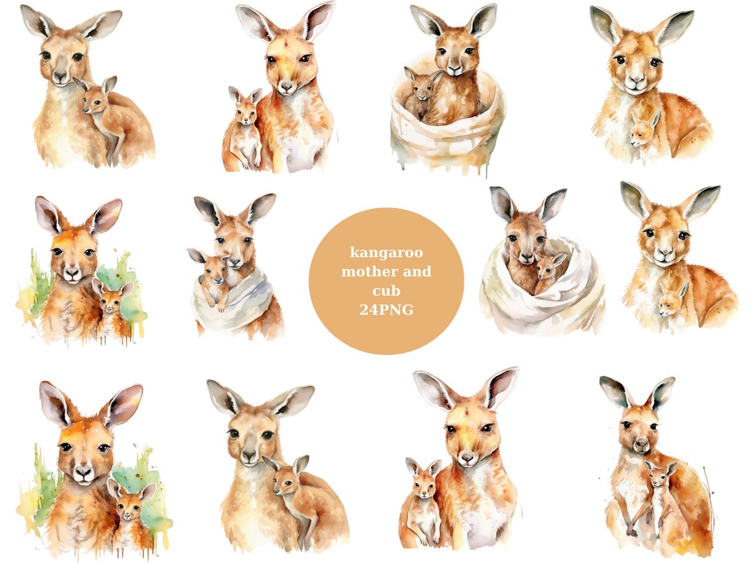 24 Kangaroo Mother and Cub Watercolor Clipart, Animals Clipart, PNG ...