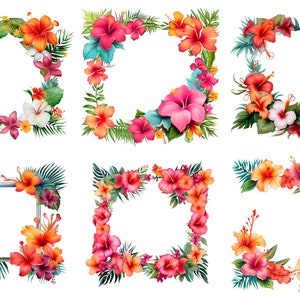 Watercolor Border Tropical Flowers Clipart, PNG Individual Images on ...