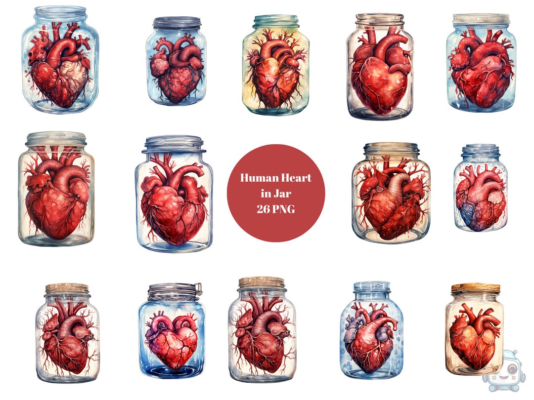 26 Human Heart in Jar Watercolor Clipart, Human Organs, PNG Digital ...
