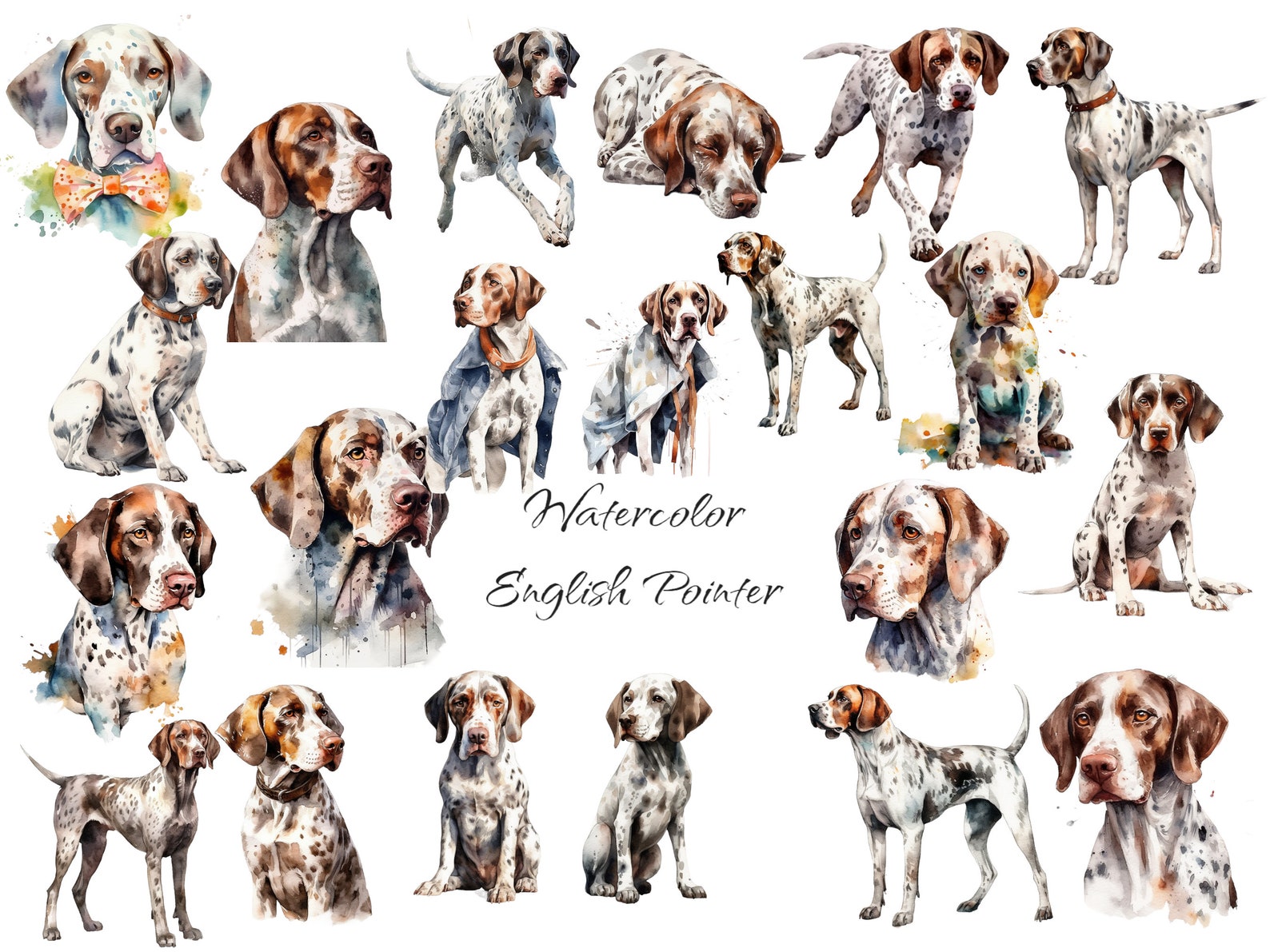Watercolor English Pointer Clipart PNG Digital Files Dog - Etsy
