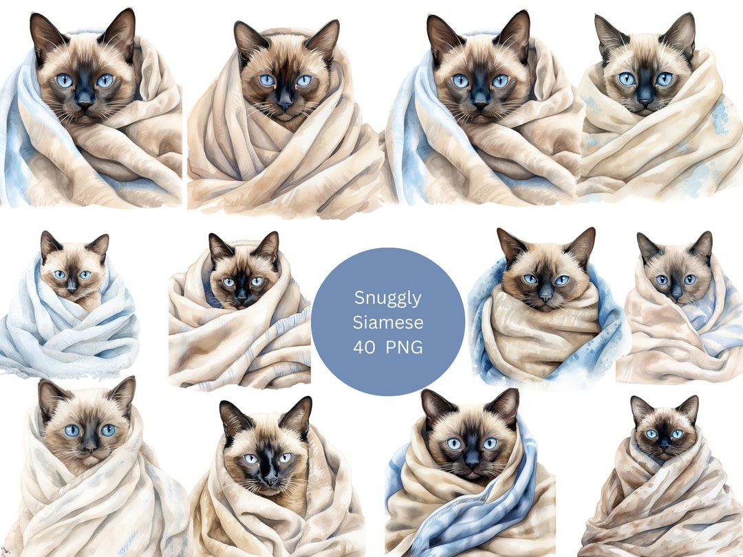 40 Snuggly Siamese Watercolor Clipart, Pets Clipart, PNG Individual ...