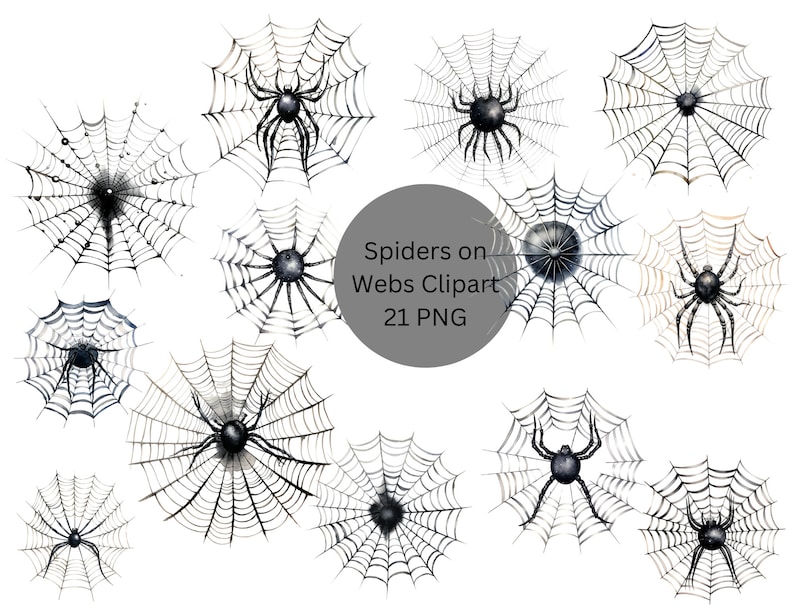 Watercolor Spiders on Webs Clipart, PNG Digital Files on Transparent ...