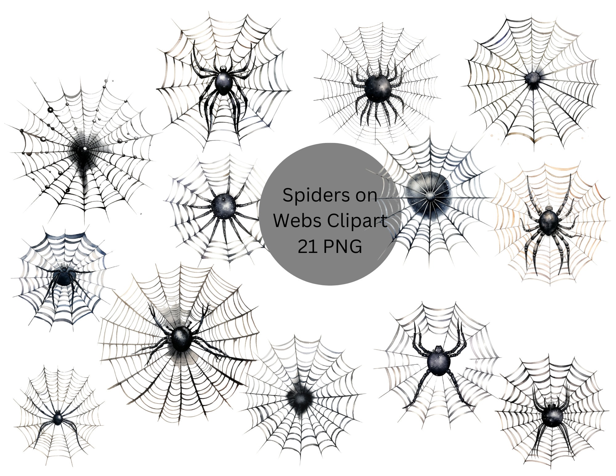 Watercolor Spiders on Webs Clipart, PNG Digital Files on Transparent ...