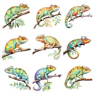 25 Cheerful Chameleons Watercolor Clipart, Lizard Clipart, Reptile ...