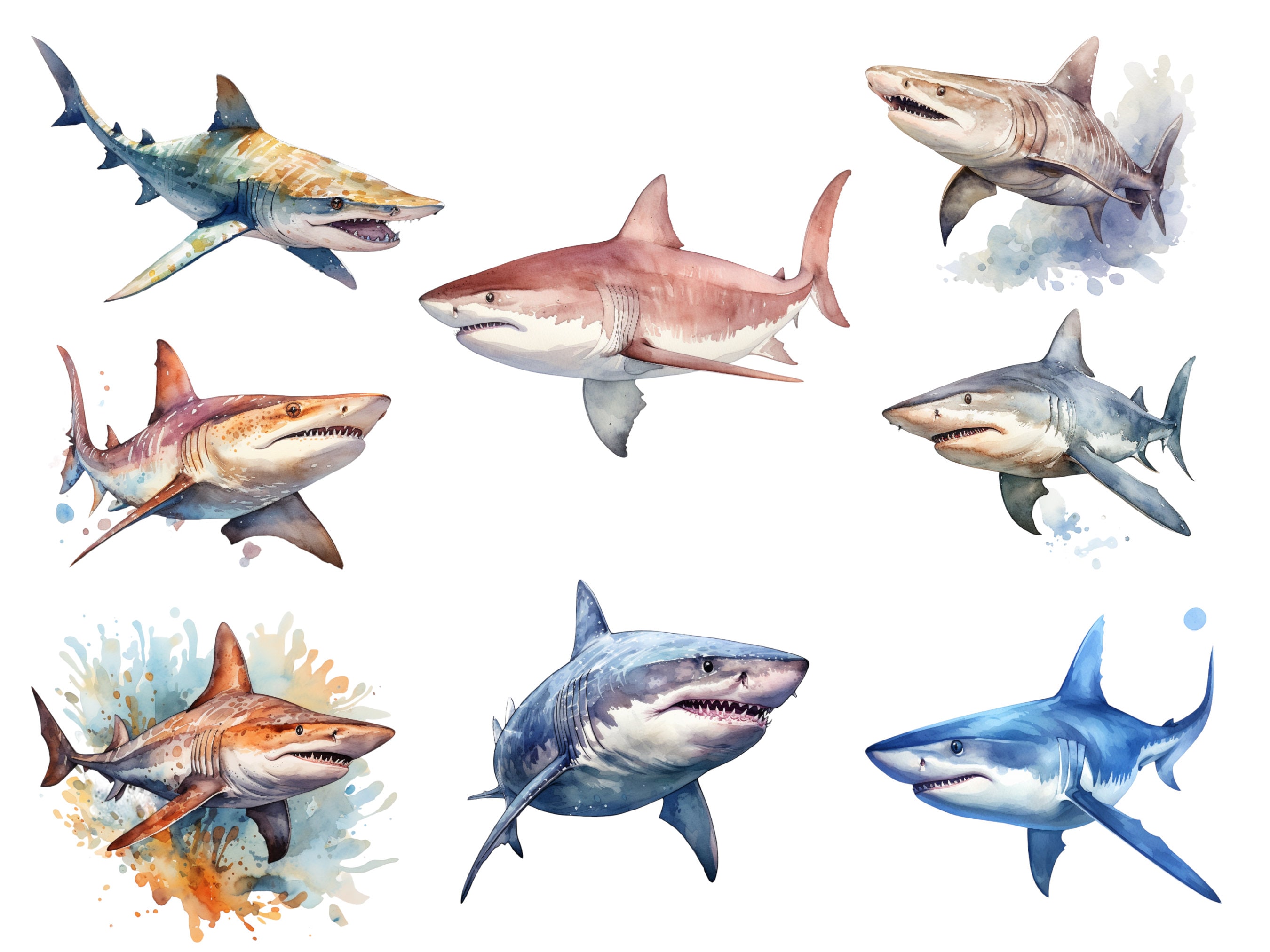 Watercolor Sharks Clipart, PNG Digital Files on a Transparent ...