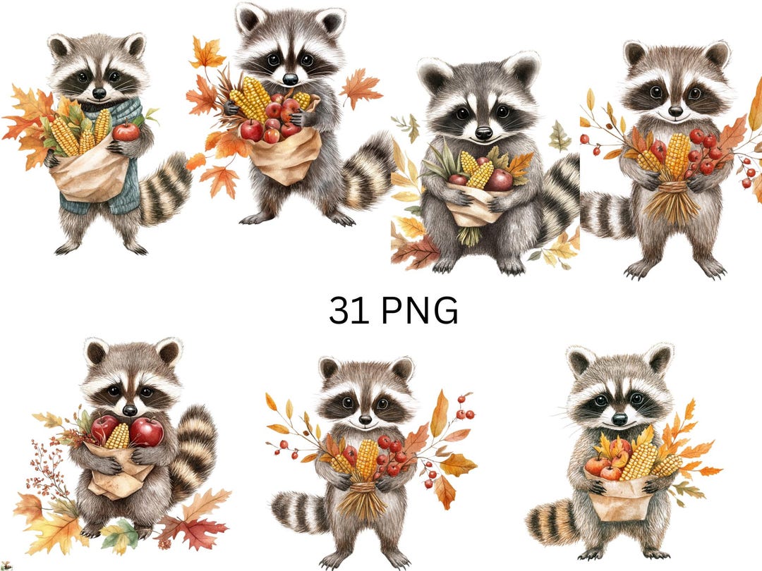 Autumn Raccoon Clipart - 31 PNG Adorable Raccoons With Fall Harvest ...