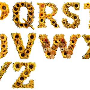 Sunflowers Alphabet , Clipart, 12x12, Commercial Use, Transparent ...