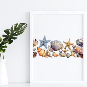 21 Seashell Borders Watercolor Clipart, Border Clipart, PNG Individual ...