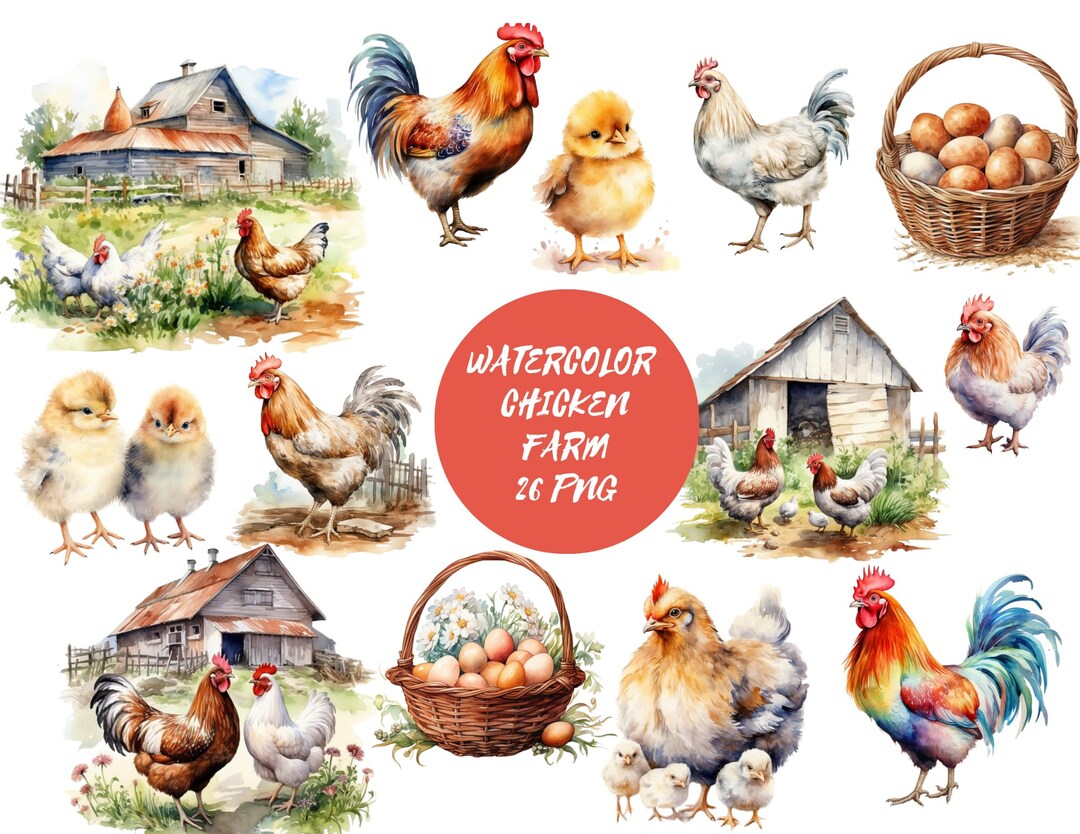 Watercolor Chicken Clipart PNG Digital Files on Transparent Background ...