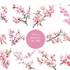 14 Beautiful Gardens Watercolor Clipart, Spring Clipart, PNG Digital ...
