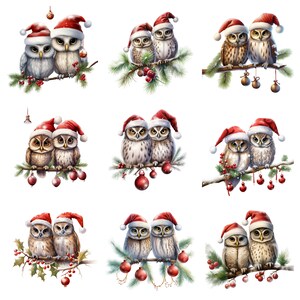 26 Santa Owls Clipart, Christmas Clipart, PNG Individual Images on ...