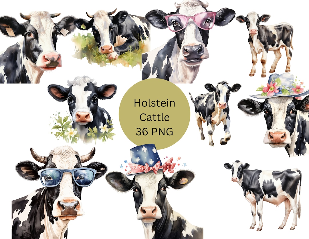 Watercolor Holstein Clipart, Cattle PNG, Cute Cows Digital Files on ...