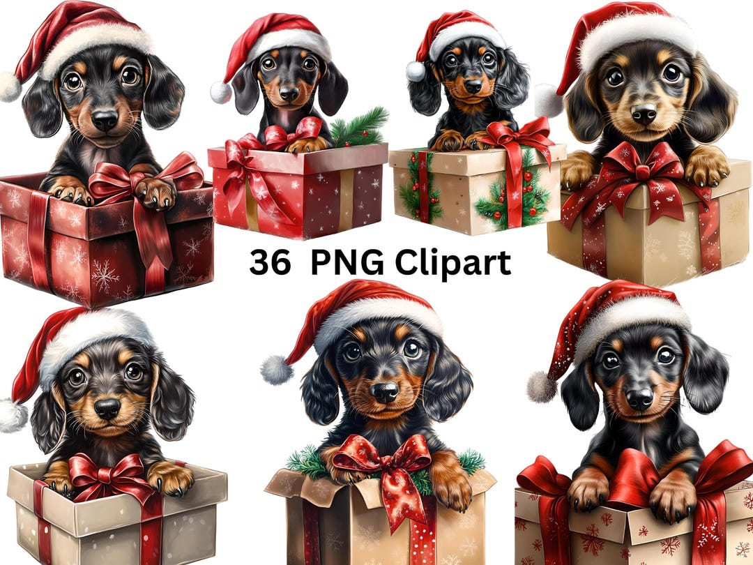 36 Santa Dachshunds Watercolor Clipart, Christmas Clipart, PNG ...
