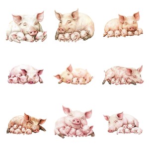 Mother Pig and Piglets Clipart - 33 Adorable Farm Animal Family PNG ...