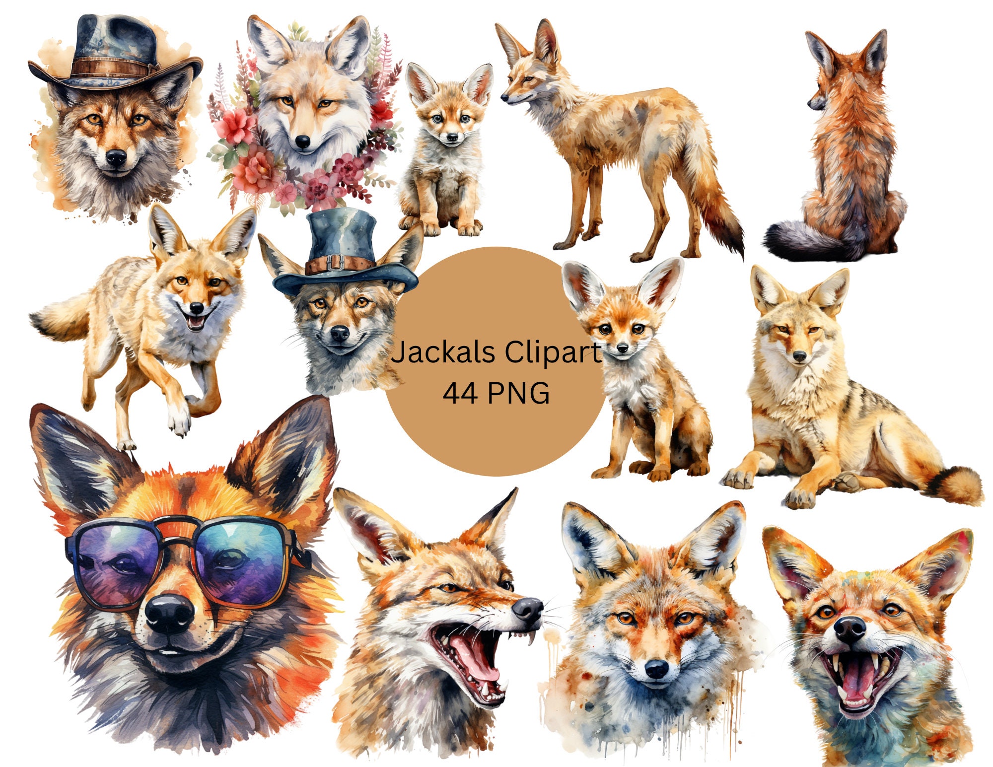 Watercolor Jackals Clipart, PNG Files on Transparent Background, Junk ...