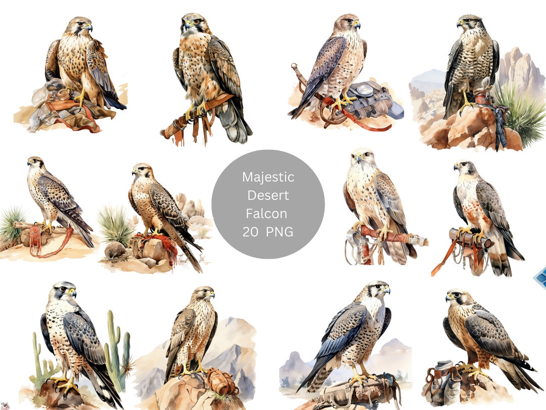 20 Majestic Desert Falcons Watercolor Clipart, Bird Clipart, PNG ...
