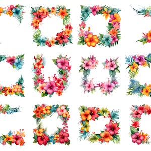 Watercolor Border Tropical Flowers Clipart, PNG Individual Images on ...