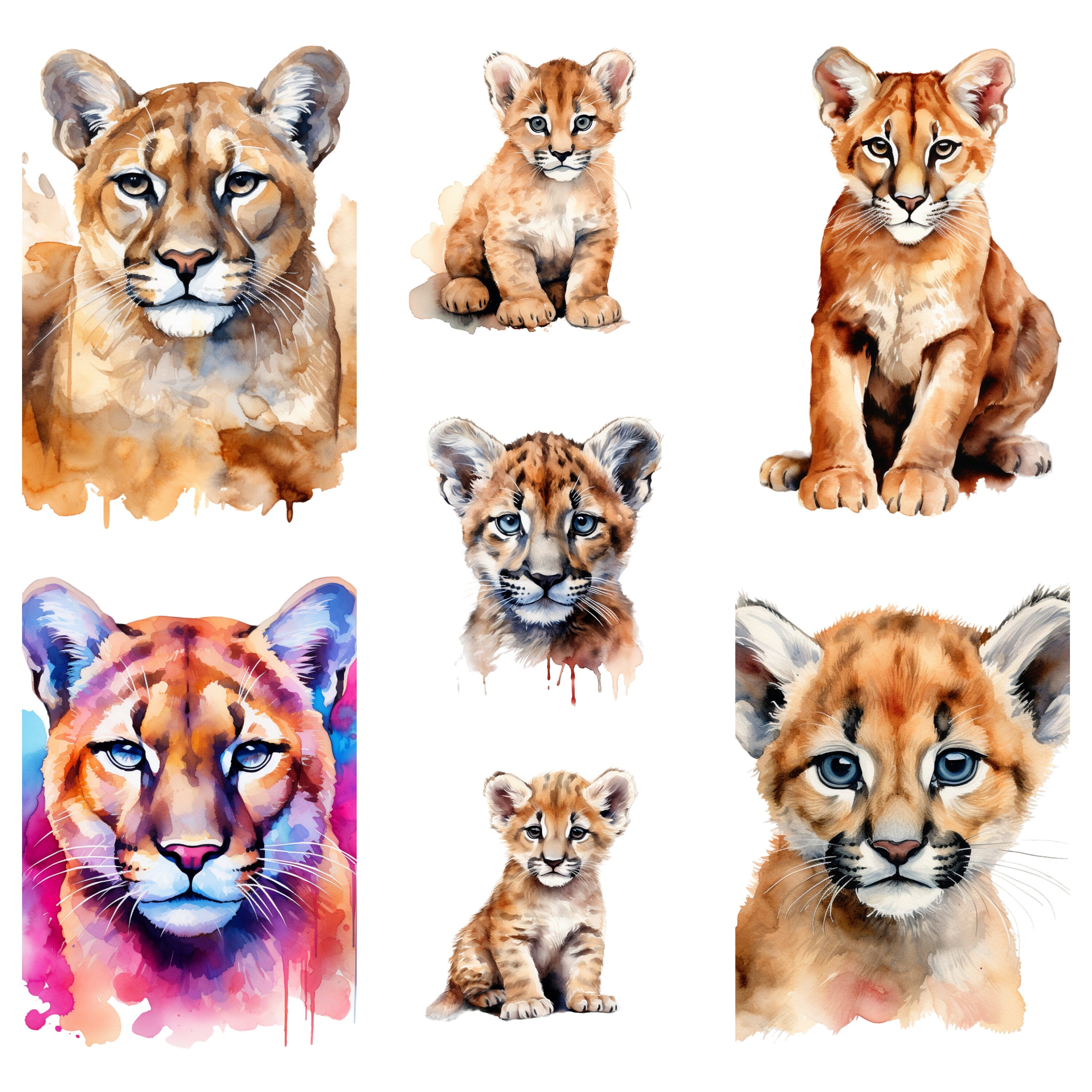 Watercolor Pumas Clipart PNG Digital Files on Transparent - Etsy